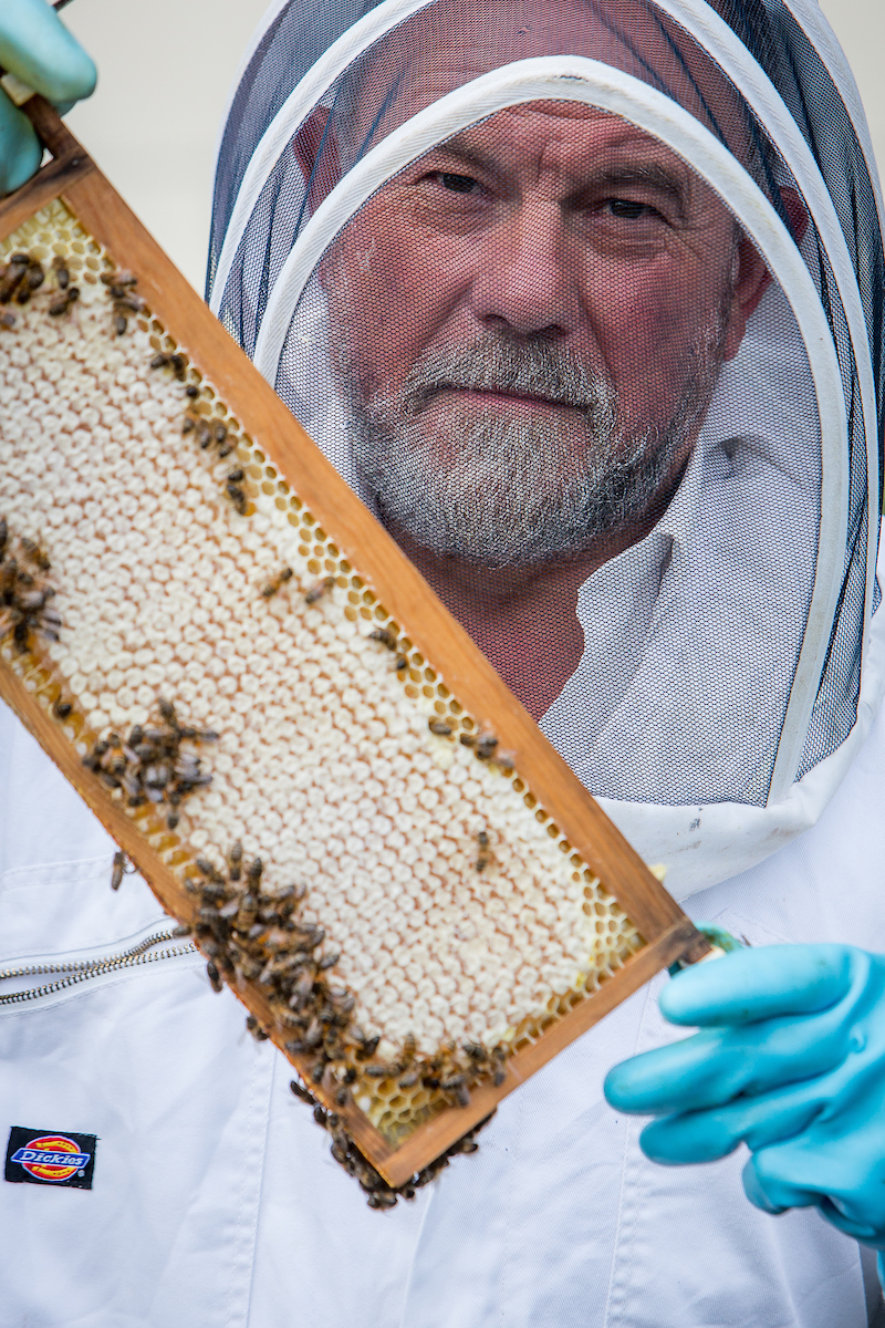 From the archives - Rural - Jersey Country Life Magazine