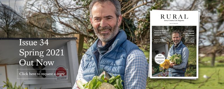 A magazine that is published 4 times a year, focusing on the Jersey ...