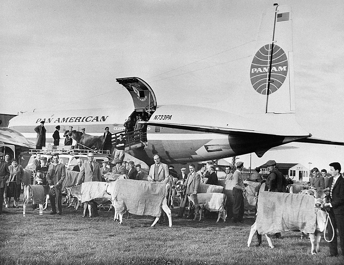 JERSEY'S RURAL AND FARMING HERITAGE - RURAL