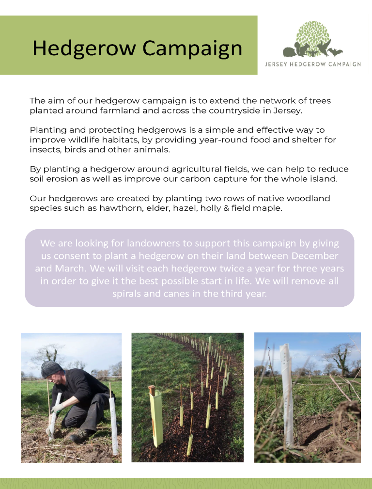 RECONNECTING NATURE: THE HEDGEROW PLANTING PROJECT BOOSTING ...