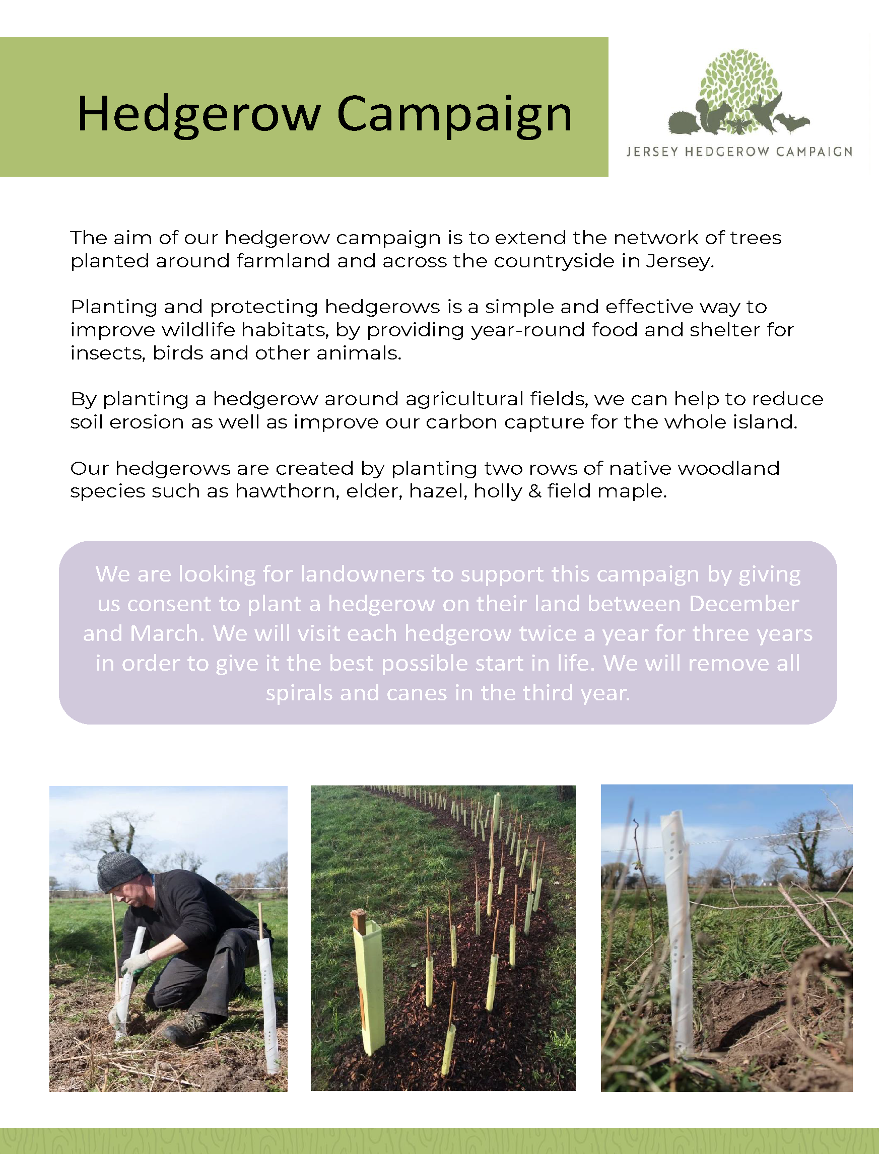RECONNECTING NATURE: THE HEDGEROW PLANTING PROJECT BOOSTING ...