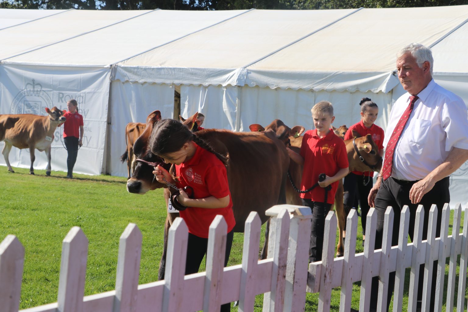THE AUTUMN CATTLE SHOW - Rural - Jersey Country Life Magazine