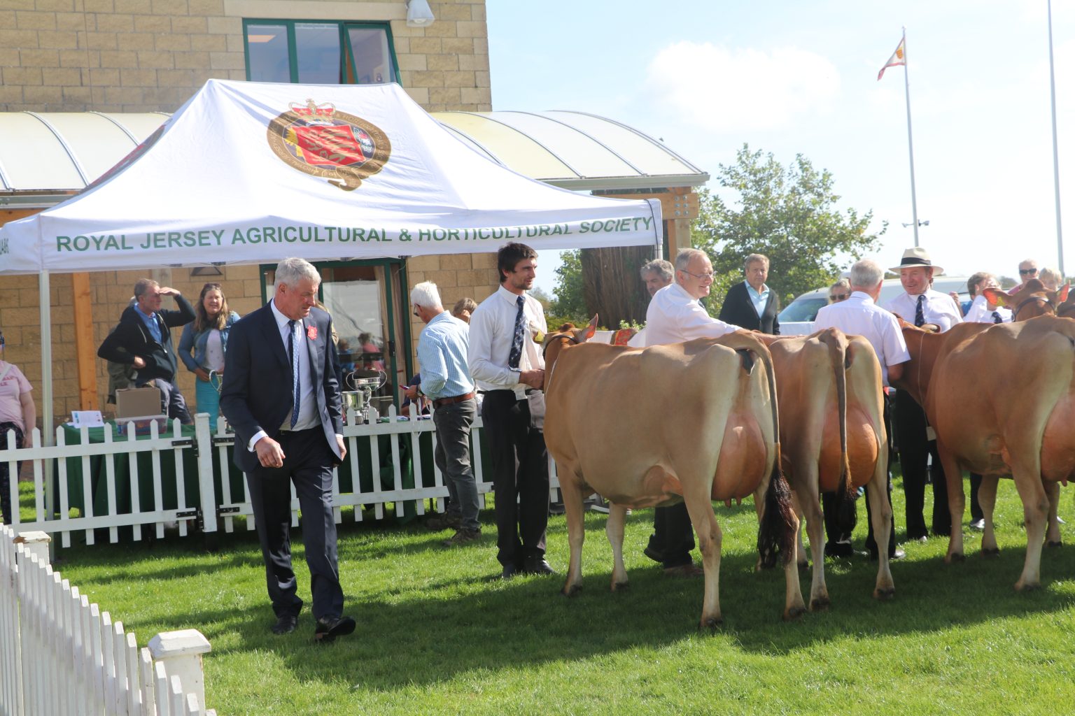THE AUTUMN CATTLE SHOW - Rural - Jersey Country Life Magazine