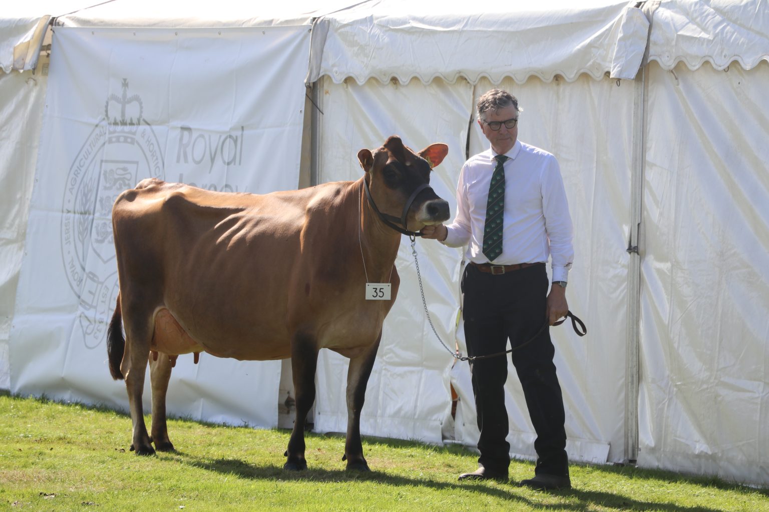 THE AUTUMN CATTLE SHOW - Rural - Jersey Country Life Magazine