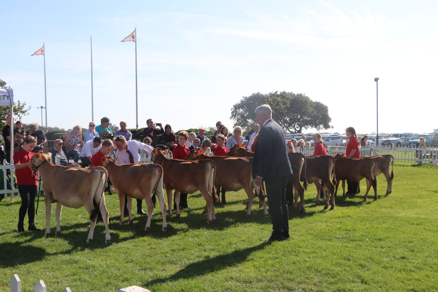 THE AUTUMN CATTLE SHOW - Rural - Jersey Country Life Magazine