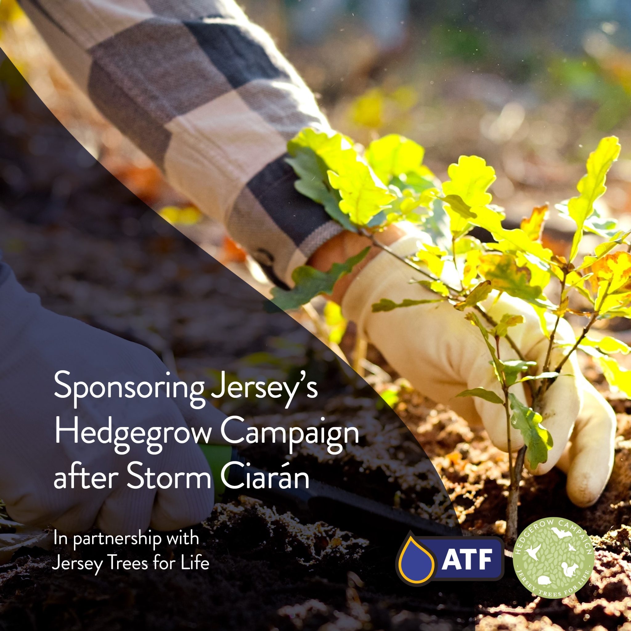 TREES FOR LIFE - ATF FUELS FOR TREES - Rural - Jersey Country Life Magazine