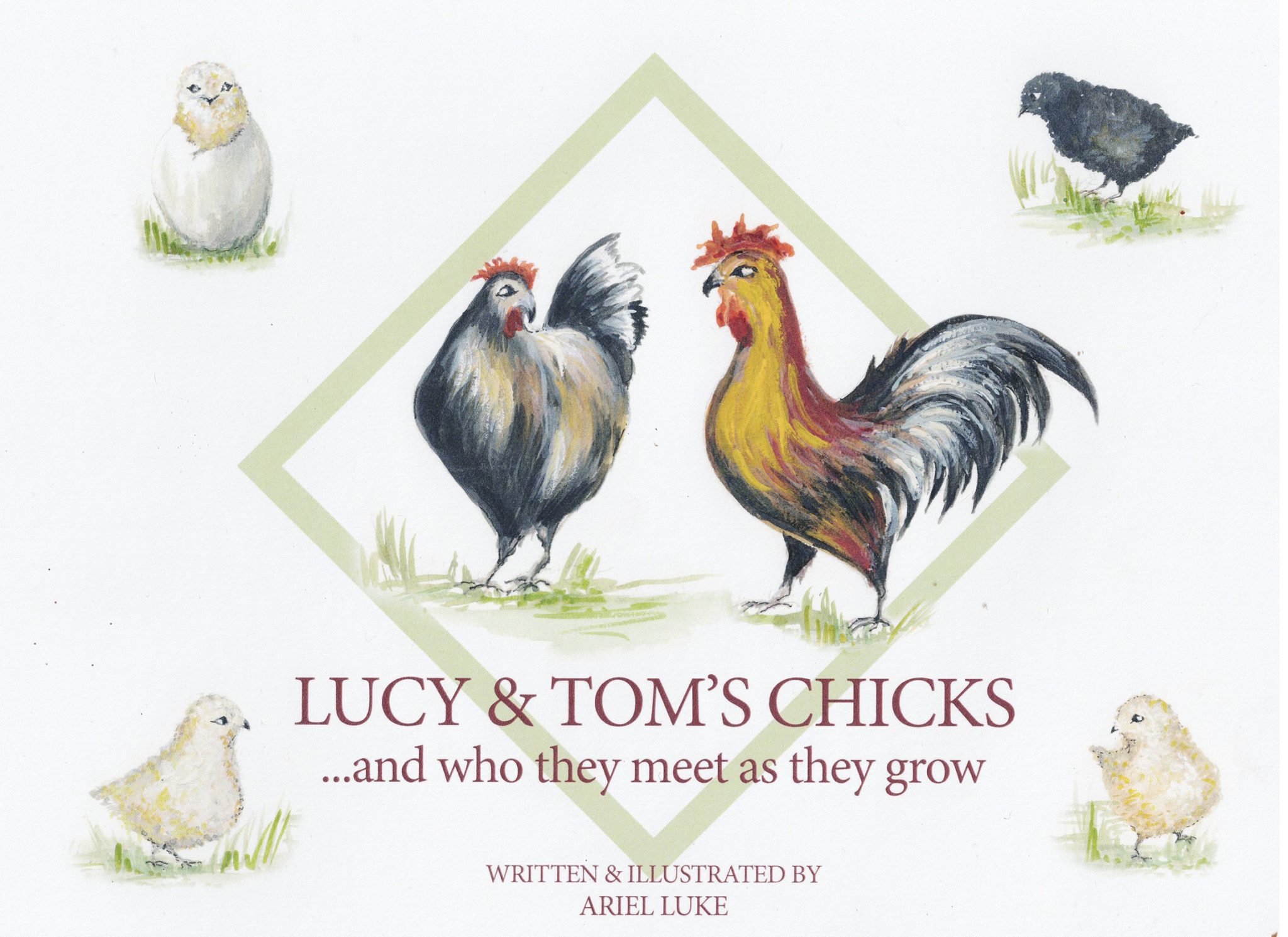 ‘Lucy and Tom’s Chicks – and who they meet as they grow’ - Rural ...