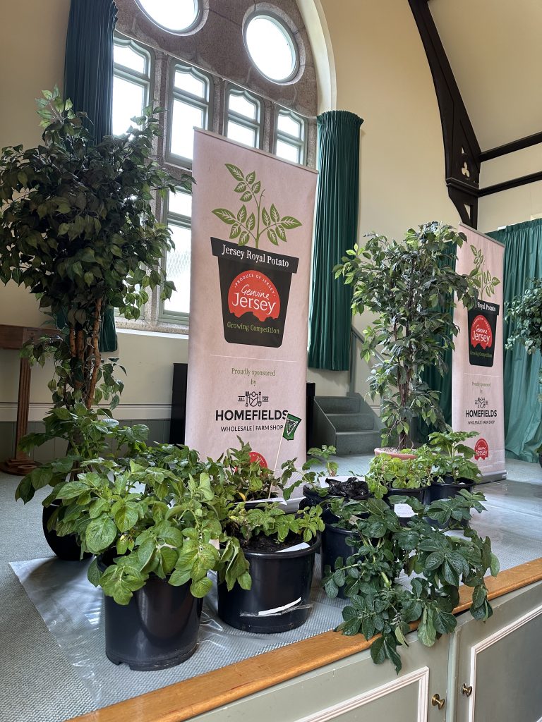 SPUD-TACULAR GROWING COMPETITION - Rural - Jersey Country Life Magazine