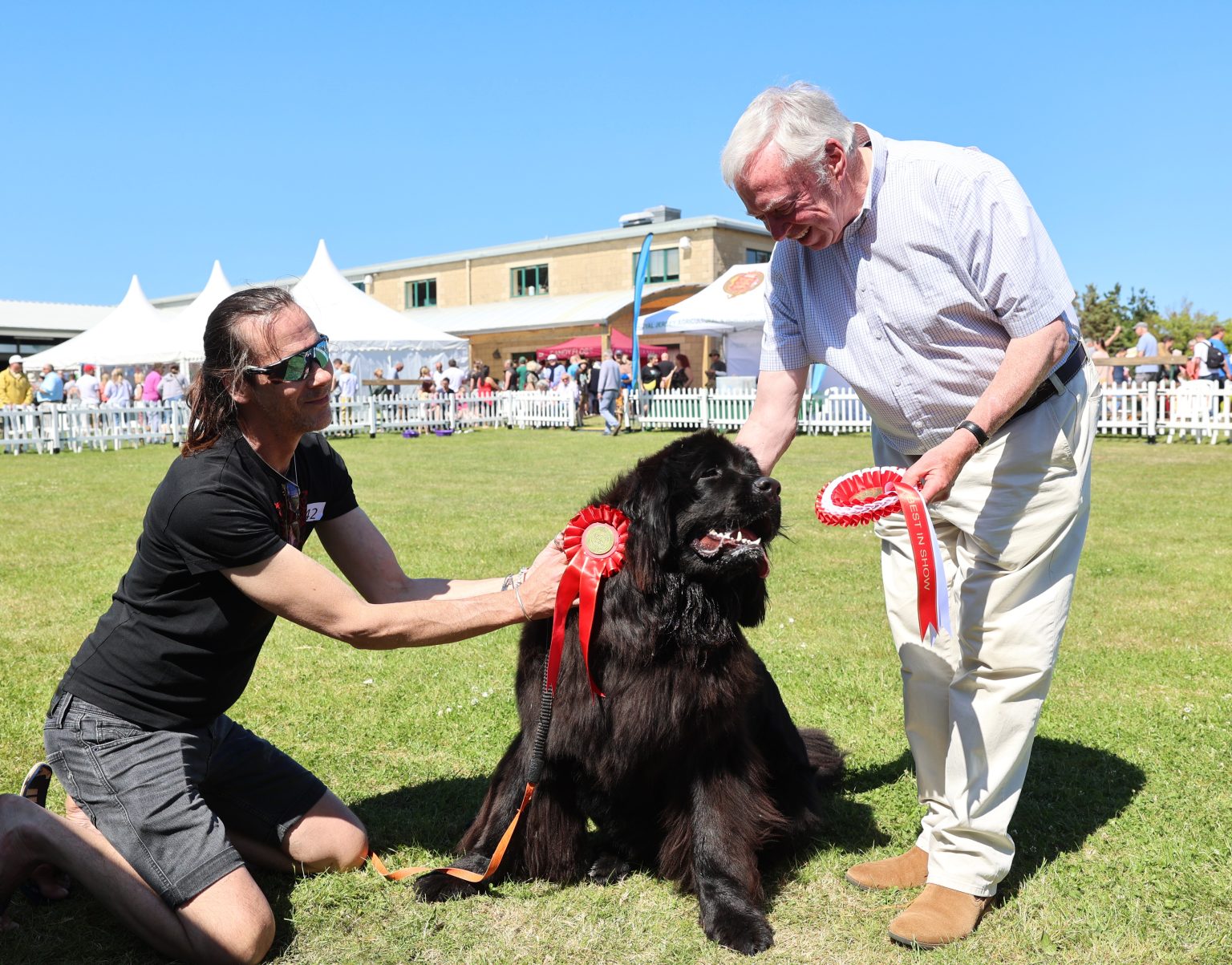 THE FUN DOG SHOW AT THE RJA&HS - Rural - Jersey Country Life Magazine
