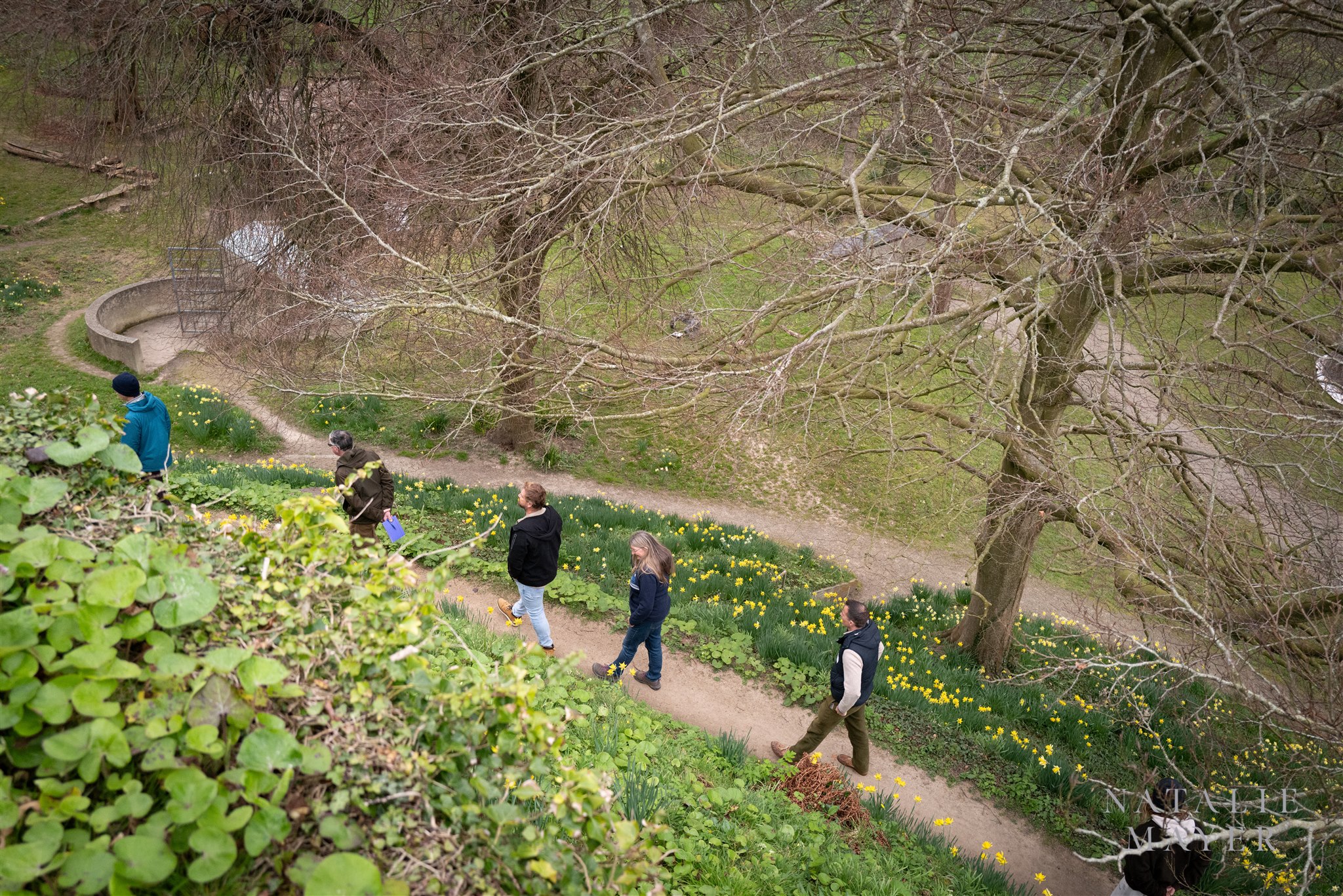 A GATHERING OF THE LUMINARIES - Rural - Jersey Country Life Magazine