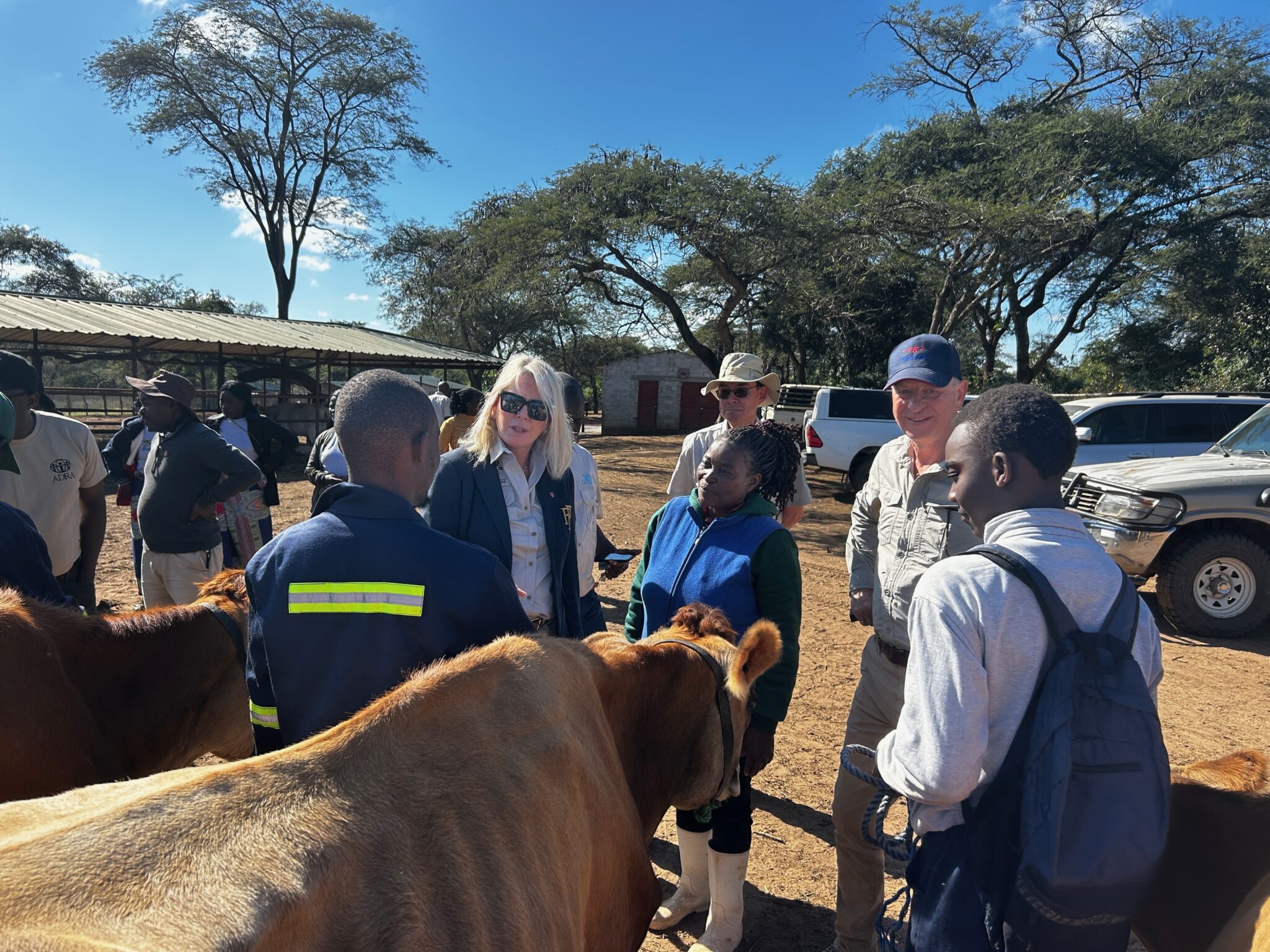DAIRY FOR DEVELOPMENT - JERSEY’S GROWING IMPACT IN ZAMBIA - Rural ...