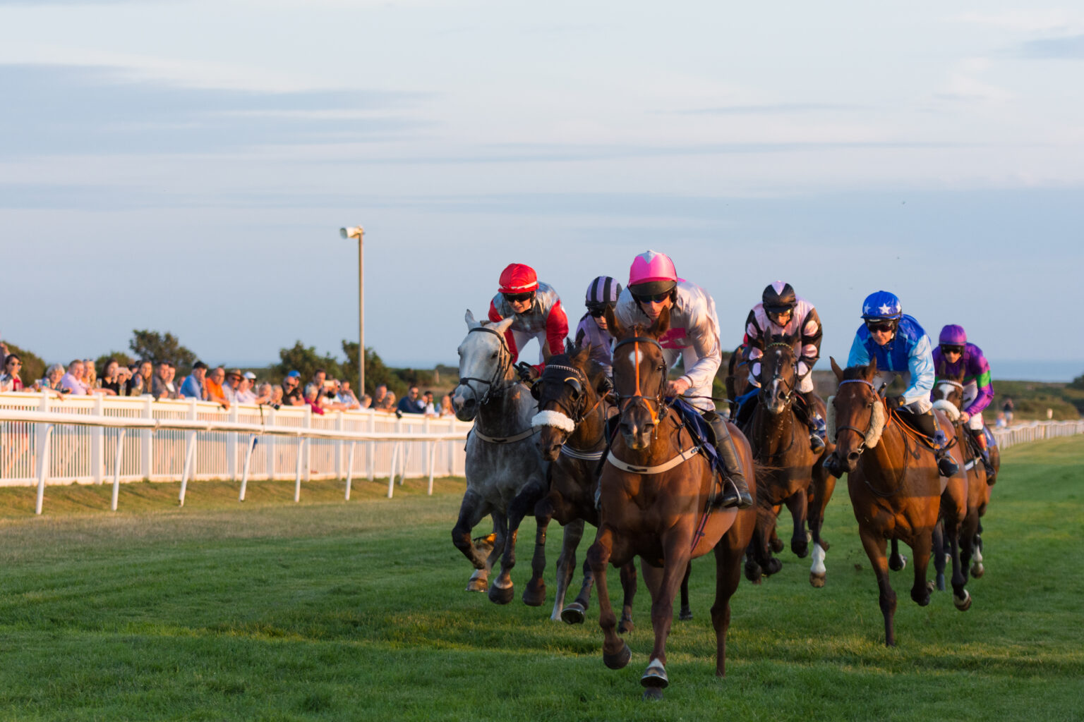 RACE DATES FOR THE 2026 SEASON - Rural - Jersey Country Life Magazine