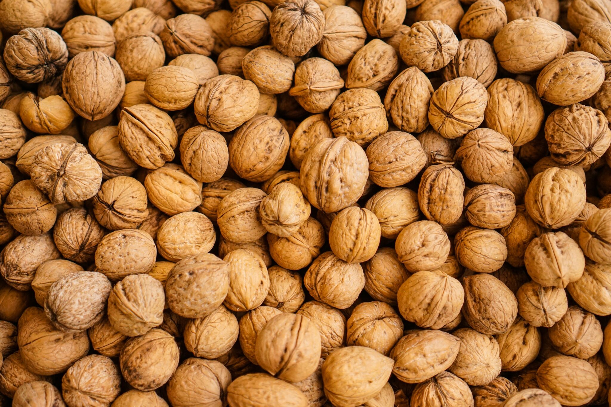 English Walnuts - Rural - Jersey Country Life Magazine